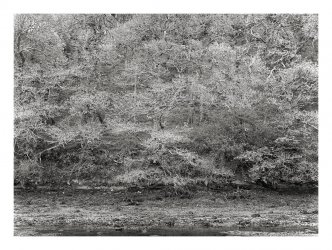 Carne Creek Textures | Black and White Photography Forum